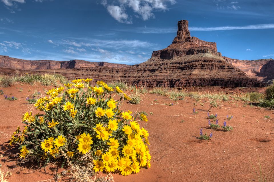 Moab: Canyonlands National Park 4x4 White Rim Tour - Final Thoughts