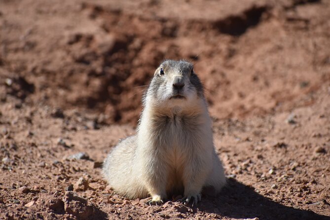 Moab Combo: Colorado River Rafting and Canyonlands 4X4 Tour - Authentic Insights from Reviewers