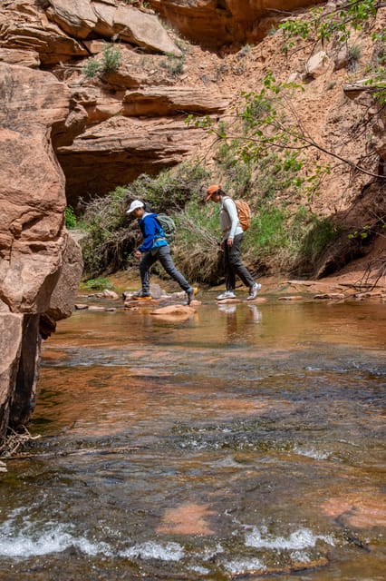 Moab: Fins and Things Canyoneering Adventure tour - What to Expect on the Fins and Things Canyoneering Trip