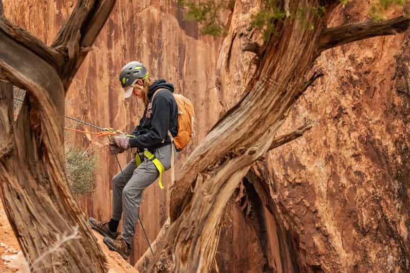 Moab: Fins and Things Canyoneering Adventure tour - Why This Tour Offers Great Value