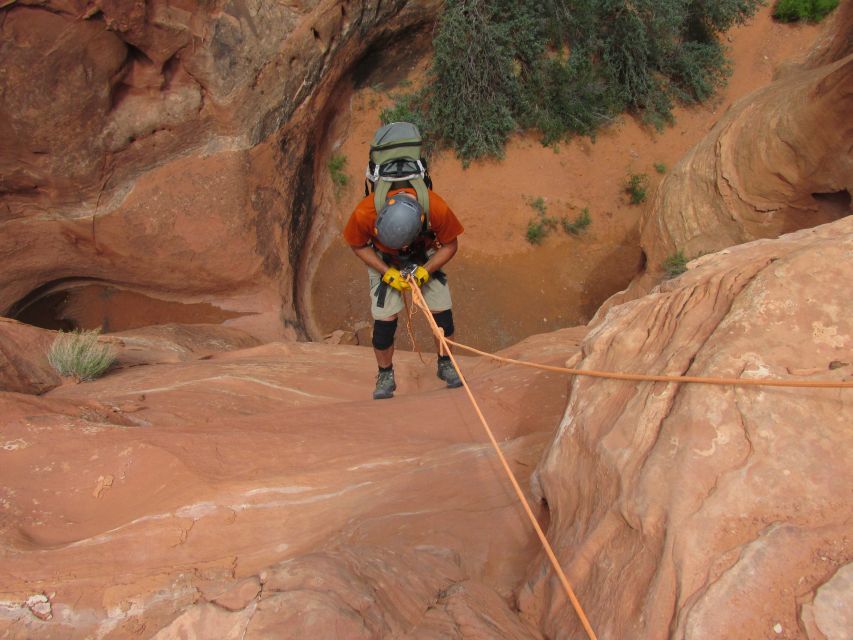 Moab: Morning or Afternoon Half-Day Rappelling Tour - Practical Details & Tips