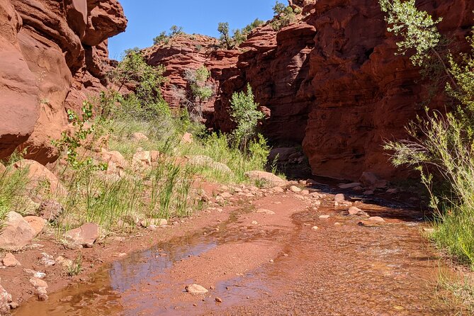 Moab's Slot Canyon Hike: Refreshingly Cool Summer Creek Adventure - An In-Depth Look at Moab’s Coolest Summer Hike