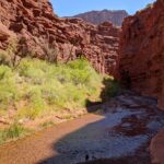 Moab's Slot Canyon Hike: Refreshingly Cool Summer Creek Adventure - Who Will Love This Experience?
