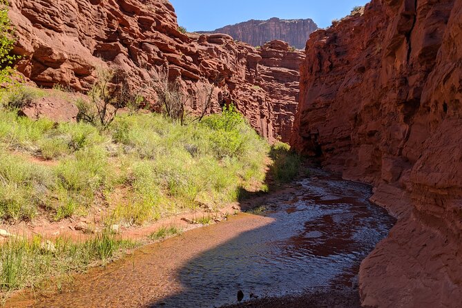 Moab's Slot Canyon Hike: Refreshingly Cool Summer Creek Adventure - Who Will Love This Experience?