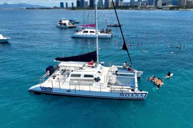 Moanas Waikk Grand Guided Turtle Snorkel & Sailing Adventure - The Itinerary: What to Expect