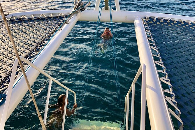 Moanas Waikk Grand Guided Turtle Snorkel & Sailing Adventure - What Makes This Experience Stand Out?