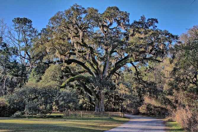 Mobile Area Multi-Attraction Pass - Historic Homes and Civil War Sites