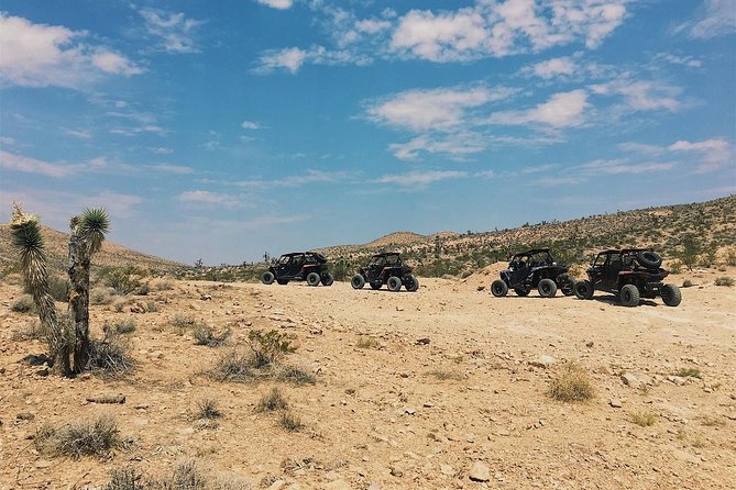 Mojave Desert Off Road RZR Tour in Las Vegas - Final Thoughts