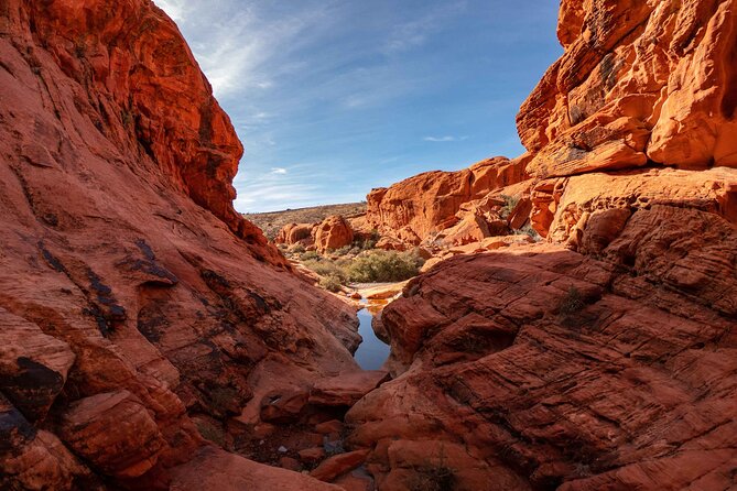 Mojave Desert, Red Rock Sign, Seven Magic Mts - Authentic Insights from Reviewers  