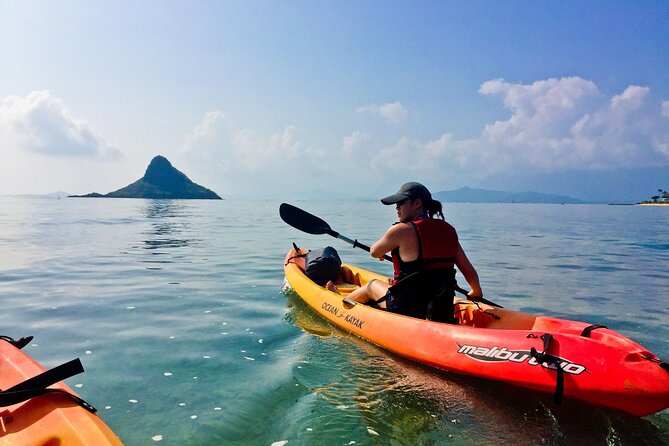 Mokolii Island Self Guided Kayak Tour - Authentic Review Snippets