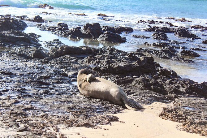 Mokulua Islands Self-Guided Kayak Adventure - Who is this tour best for?