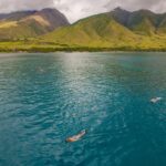 Molokini and Turtle Arches Snorkeling Trip from Ma'alaea Harbor - Authentic Experiences from Guests