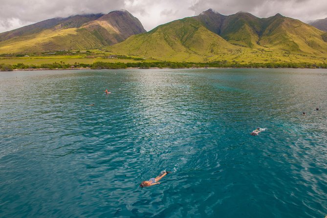 Molokini and Turtle Arches Snorkeling Trip from Ma'alaea Harbor - Authentic Experiences from Guests