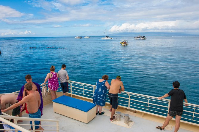 Molokini and Turtle Arches Snorkeling Trip from Ma'alaea Harbor - FAQs