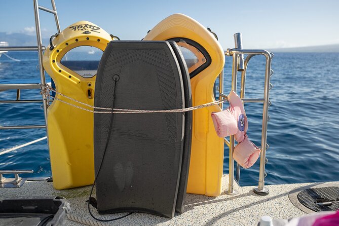 Molokini and Turtle Town Snorkeling Adventure Aboard the Malolo - The Experience from a Traveler’s Perspective