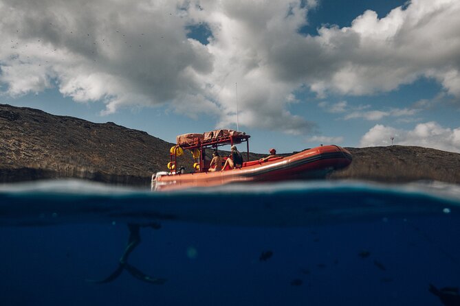 Molokini Crater and South Maui Coast Adventure from Kihei - The Details That Make a Difference