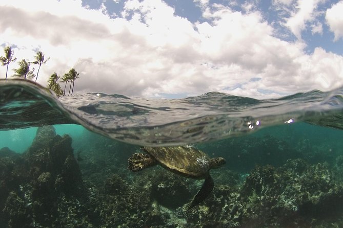 Molokini Crater and South Maui Coast Adventure from Kihei - Why This Tour Stands Out
