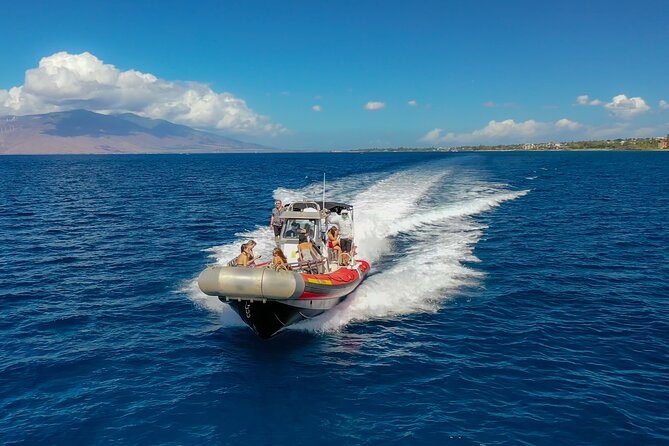 Molokini Crater and Turtle Town Snorkeling From Kihei - A Closer Look at the Tour Experience
