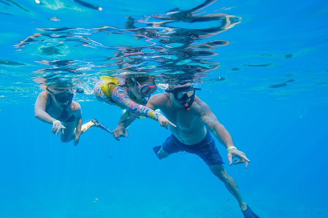 Molokini Crater and Turtle Town Snorkeling From Kihei - Is This Tour Right for You?