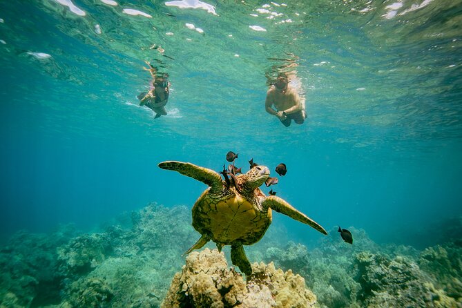 Molokini Crater and Turtle Town Snorkeling From Kihei - FAQ
