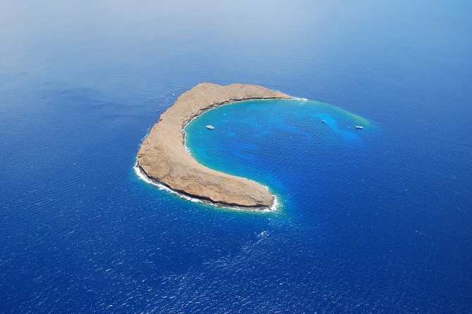 Molokini Crater Snorkeling Adventure - How the Day Unfolds: A Step-by-Step Breakdown