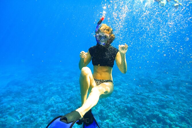 Molokini Crater Snorkeling Adventure - The Crowd and Small Group Dynamics