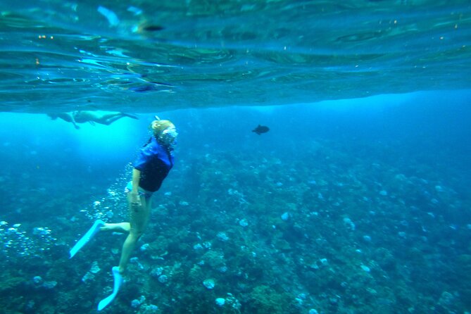 Molokini Crater Snorkeling Adventure - Final Thoughts: Who Will Love This Tour?
