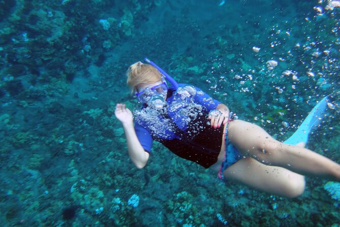 Molokini Crater Snorkeling Adventure - FAQ