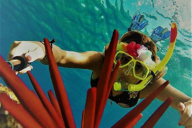 Molokini Crater Zodiac Adventure: Snorkel and Turtle Cove Swim - The Experience Breakdown