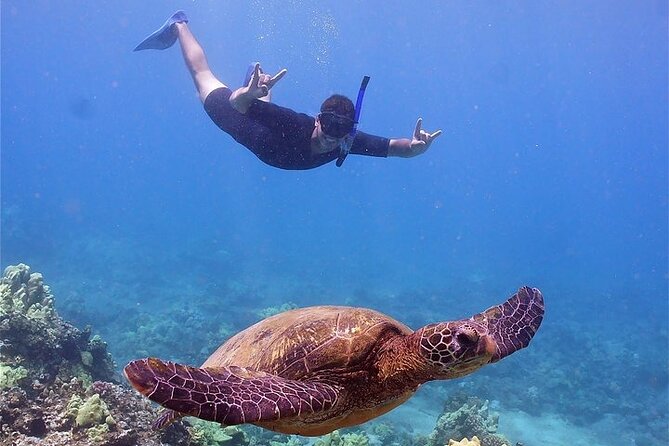 Molokini or Coral Gardens PM Snorkel Aboard Malolo - An In-Depth Look at the Tour