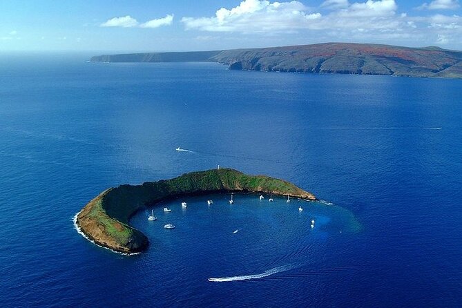 Molokini or Coral Gardens PM Snorkel Aboard Malolo - Who Should Book This Tour?