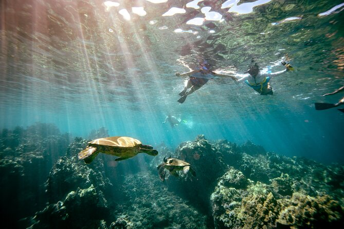 Molokini Snorkel Trip 2-Hour From Kihei - Frequently Asked Questions