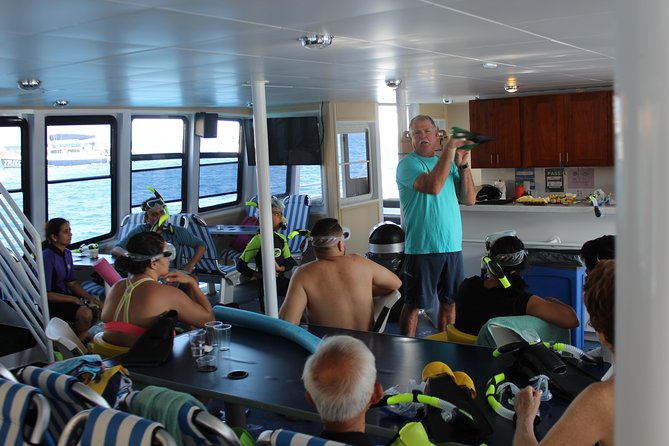 Molokini Snorkeling Adventure Aboard Calypso From Ma'alaea Harbor - Who Should Consider This Tour