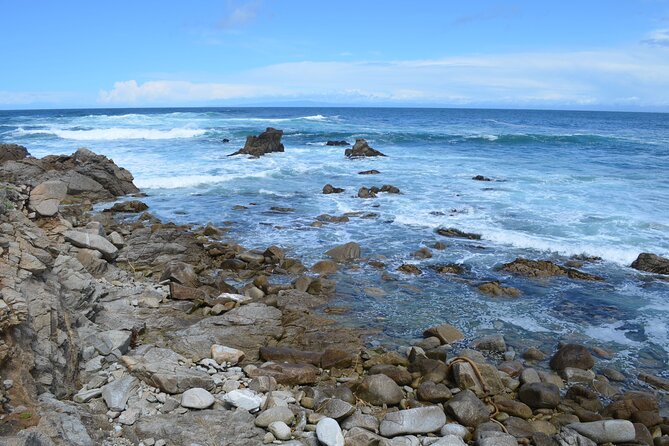 Monterey 1-Day Tour - Key Points