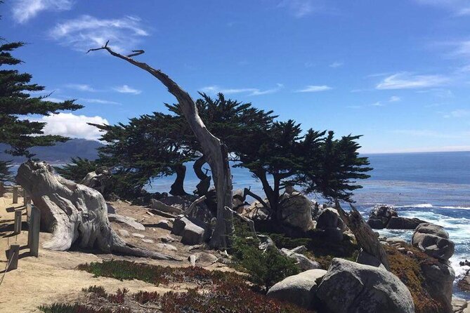 Monterey 1-Day Tour - What’s Included and What’s Not