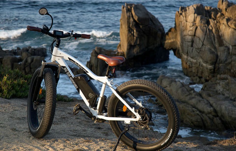 Monterey: 17-Mile Drive Guided E-Bike Tour - Who Would Love This Tour?