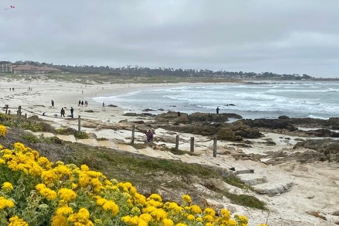Monterey Bay Famous Dog Friendly Electric Bike and Sidecar Tour - Key Points