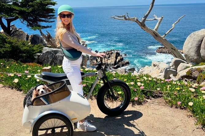 Monterey Bay Famous Dog Friendly Electric Bike and Sidecar Tour - A Thorough Breakdown of the Experience