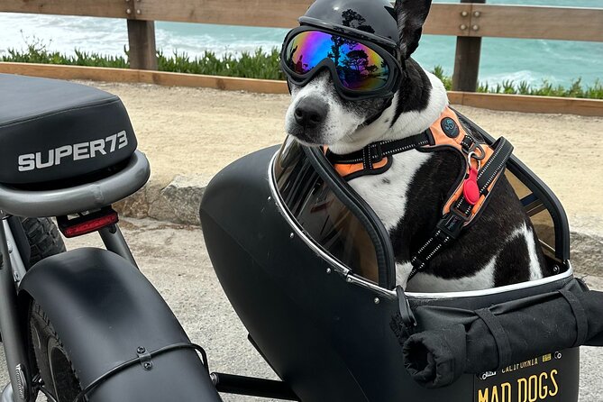 Monterey Bay Famous Dog Friendly Electric Bike and Sidecar Tour - Who Is This Tour Best Suited For?