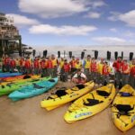 Monterey Bay Full-Day Kayak Rental: Otters, Seals and Sea Lions - What To Expect During Your Kayaking Day