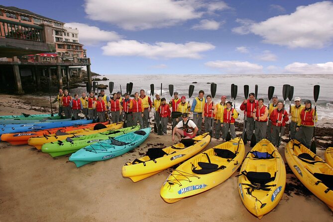 Monterey Bay Full-Day Kayak Rental: Otters, Seals and Sea Lions - What To Expect During Your Kayaking Day