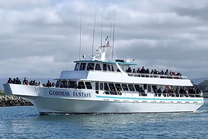 Monterey Bay Whale Watching - Detailed Experience Breakdown