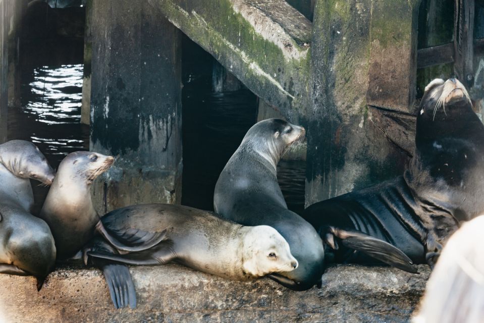 Monterey Bay: Whale Watching Tour - Final Words