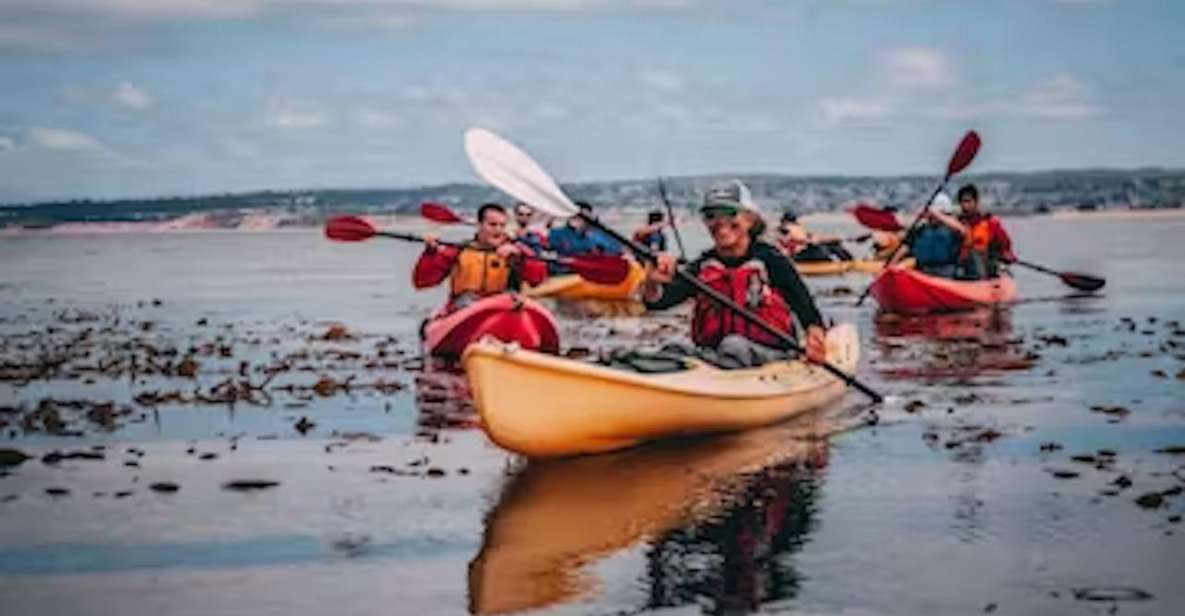 Monterey: Cannery Row Kayak Tour - In-Depth Review of the Cannery Row Kayak Tour