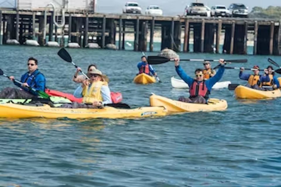Monterey: Cannery Row Kayak Tour - Why This Tour is Worth Considering