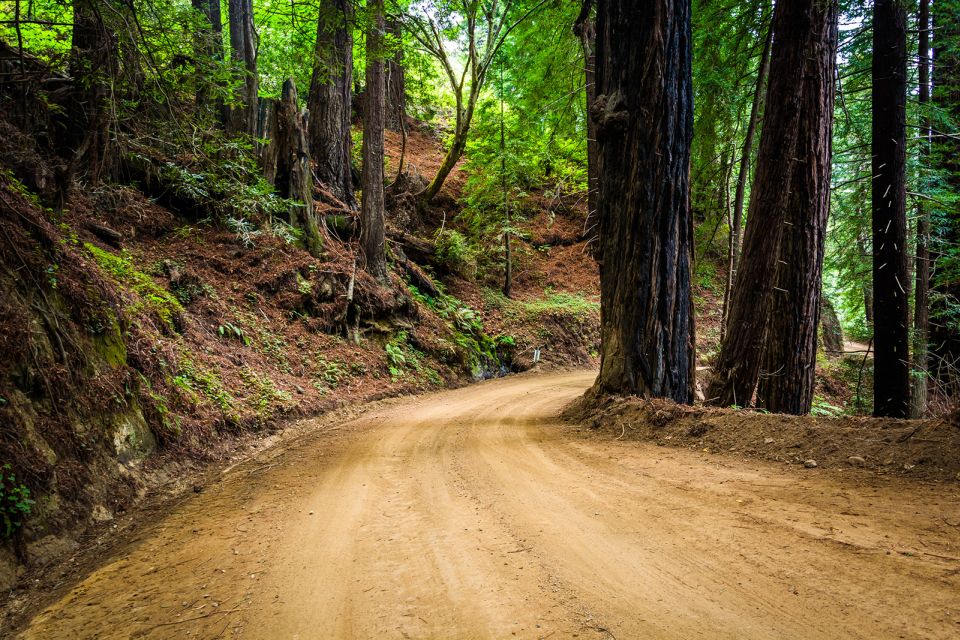 Monterey, Carmel, 17 Mile Dr, Big Sur & Mcway Falls Pvt Tour - Who Might Be Disappointed?