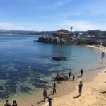 Monterey, Carmel and 17-Mile Drive: Full Day Tour from SF - Authentic Experiences & Real Traveler Insights