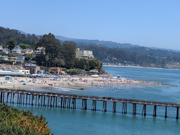 Monterey, Carmel and Big Sur private Day Trip from San Francisco - Final Thoughts: Who Is This Tour Best For?