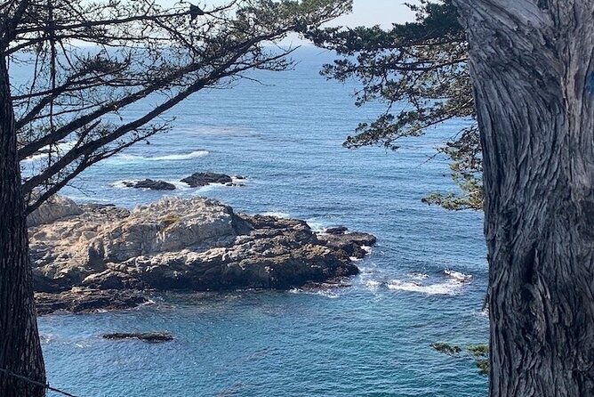 Monterey Carmel Big Sur Pebble Beach by Luxury Vehicle 5 hrs~ - Pricing and Value