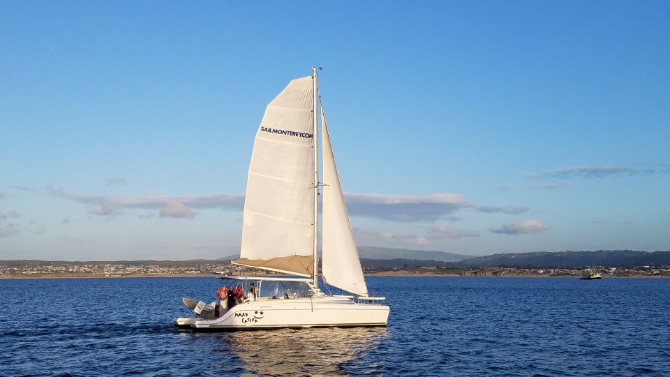 Monterey: Catamaran Sailing Cruise - What Makes the Monterey Catamaran Cruise Special?